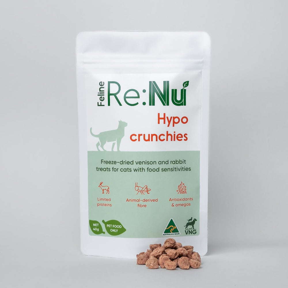 Feeding guide for cats with food sensitivities – VNG