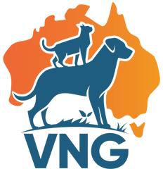 Our Story – VNG